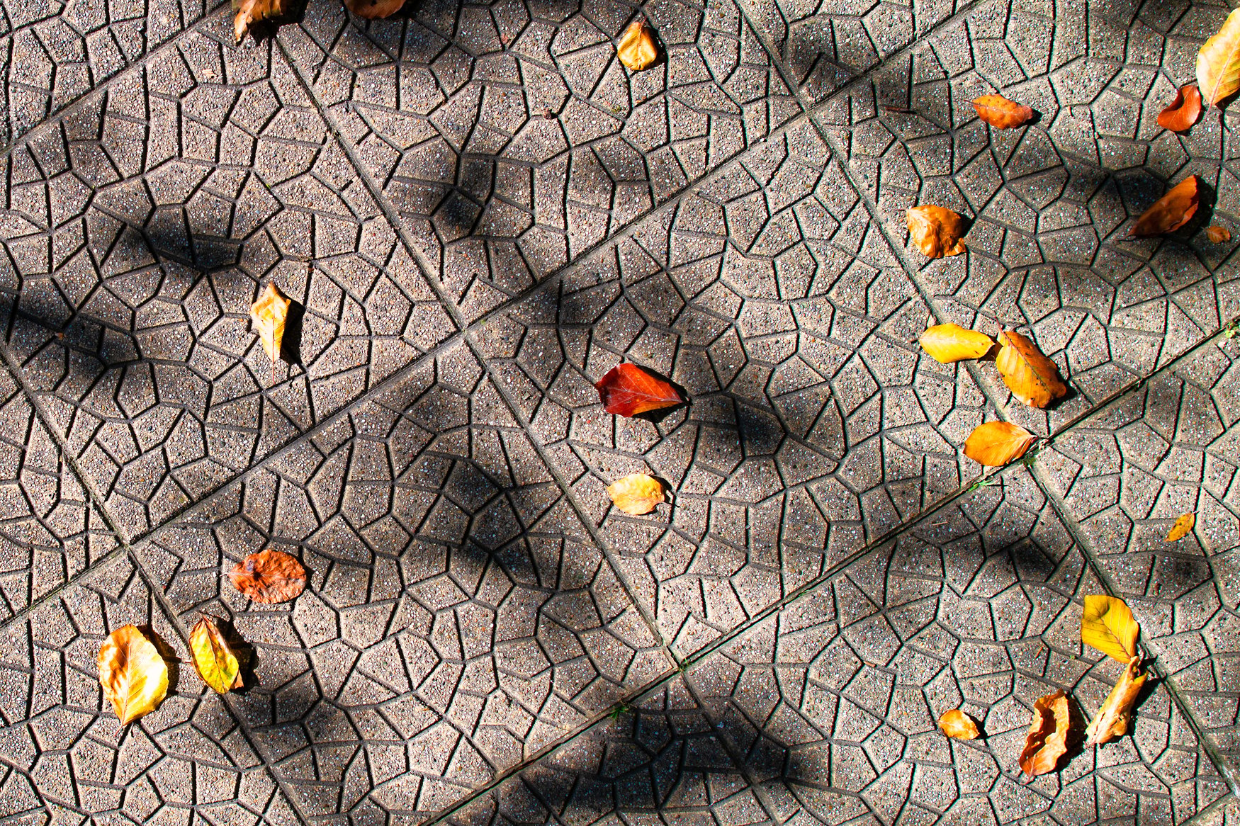 Stamped Concrete: The Definitive Guide - Onfloor